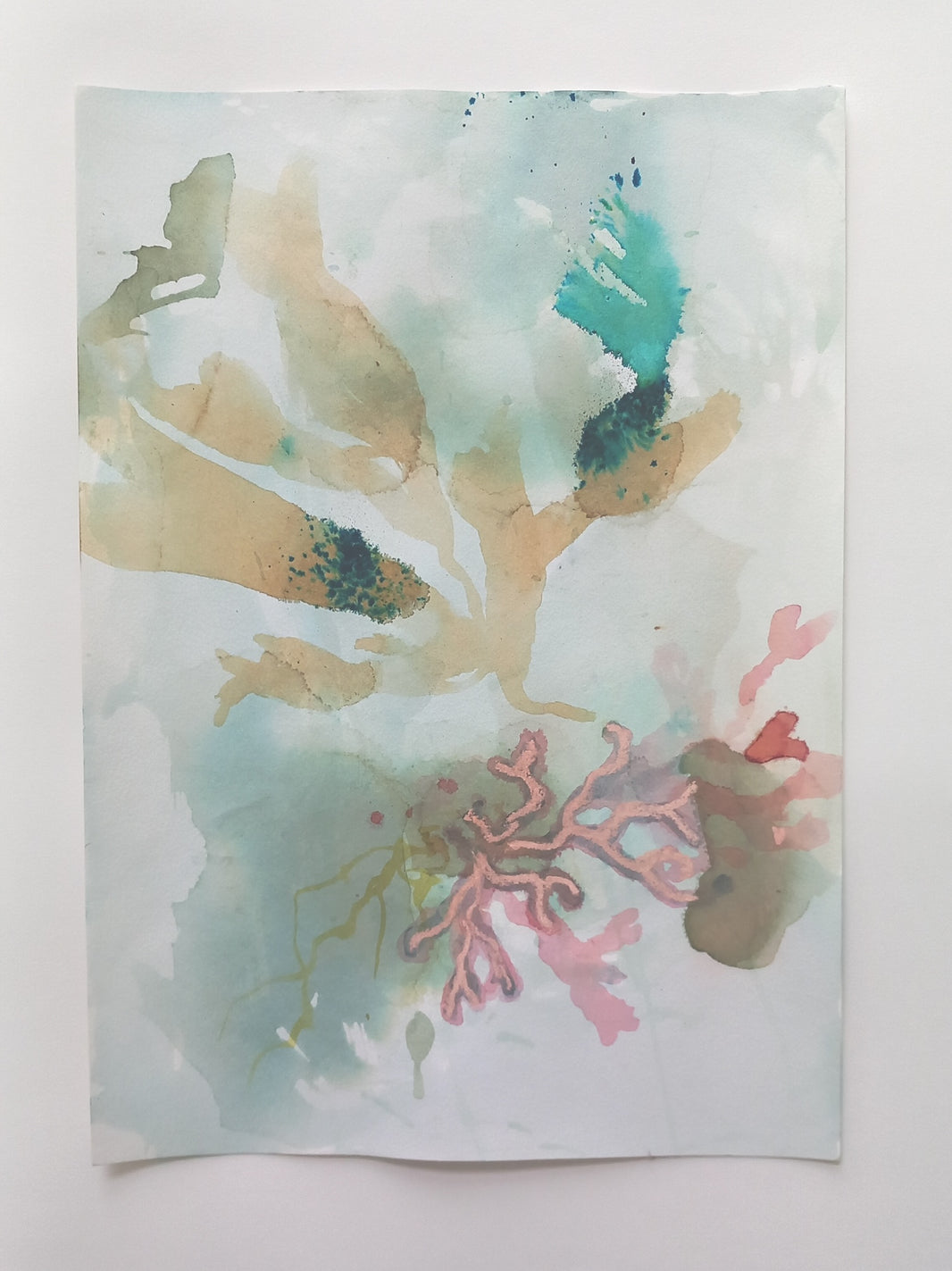 Products – Tara Leaver Art